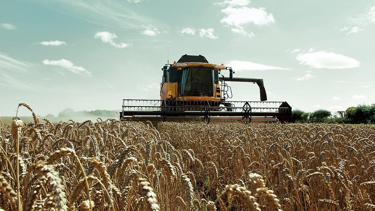 Shell Rimula Mono-Grade Oils | Shell UAE